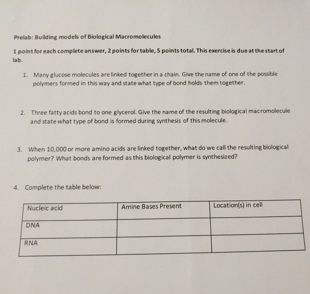 Solved Prelab: Building models of Biological Macromolecules | Chegg.com