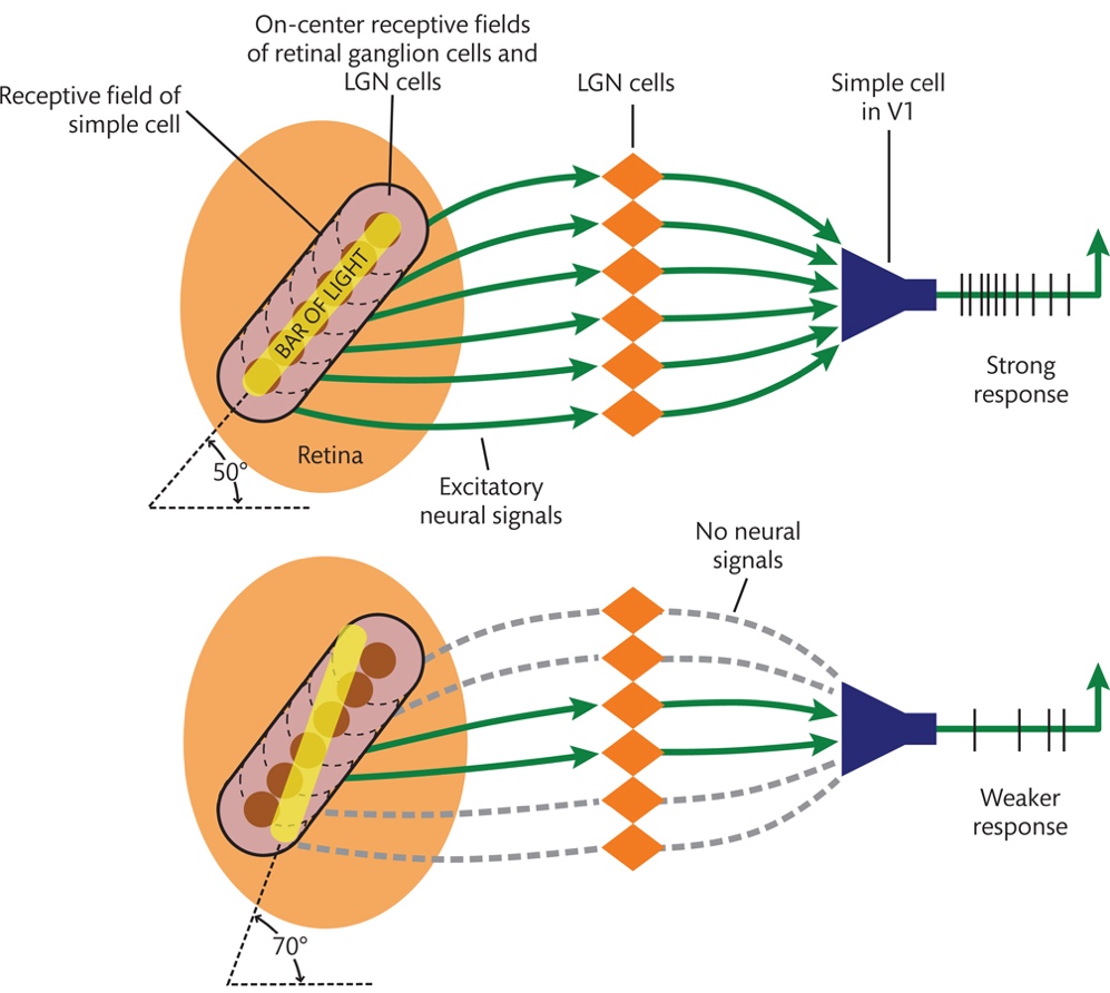 Solved 5a. Describe what’s happening in the following | Chegg.com