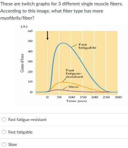 Solved These are twitch graphs for 3 different single muscle | Chegg.com