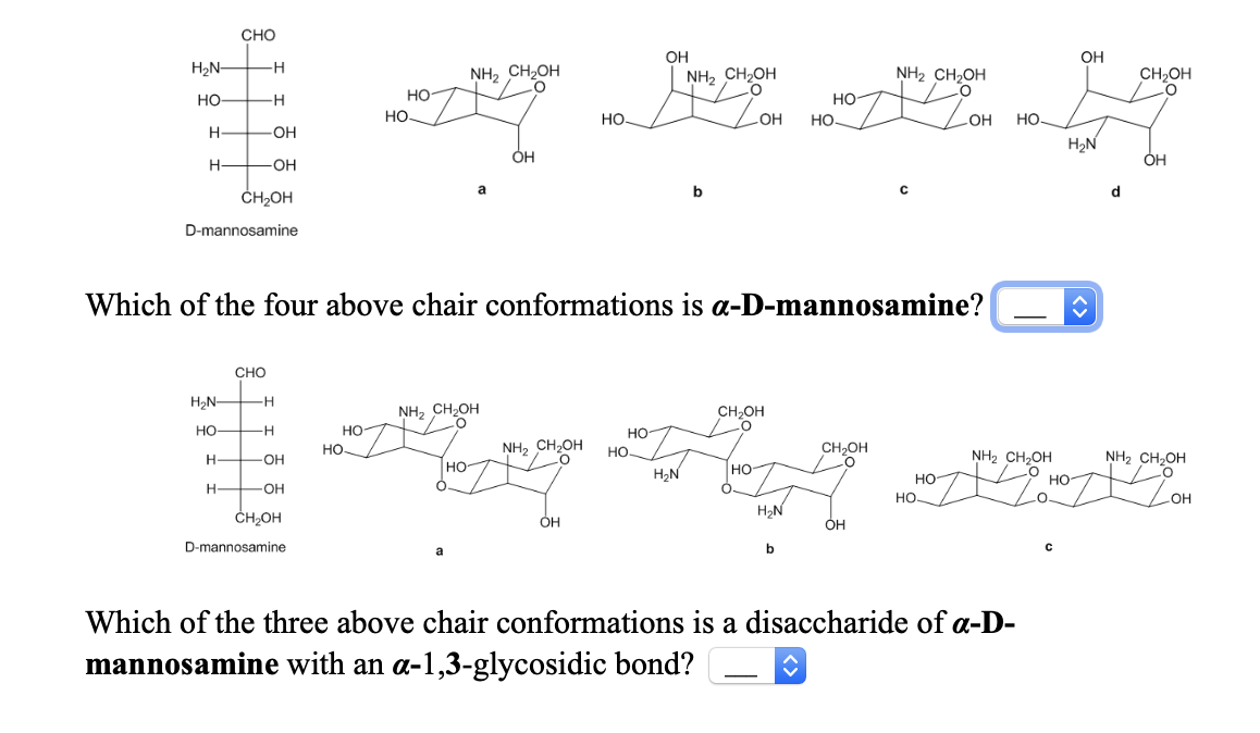 Solved Which of the four above chair conformations is | Chegg.com