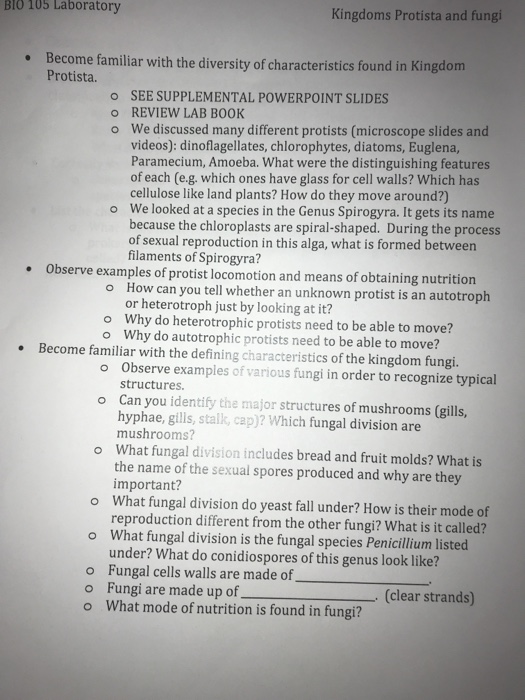 Solved BIO 105 Laboratory Kingdoms Protista and fungi Become | Chegg.com