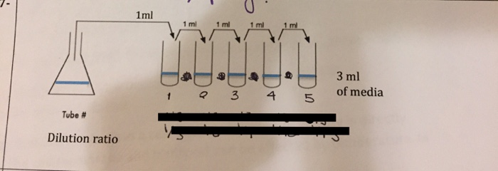 Solved 5 ml 1 ml 1 ml 45mリ 99 ml 99 Sample 0.1 ml 1ml 1ml | Chegg.com