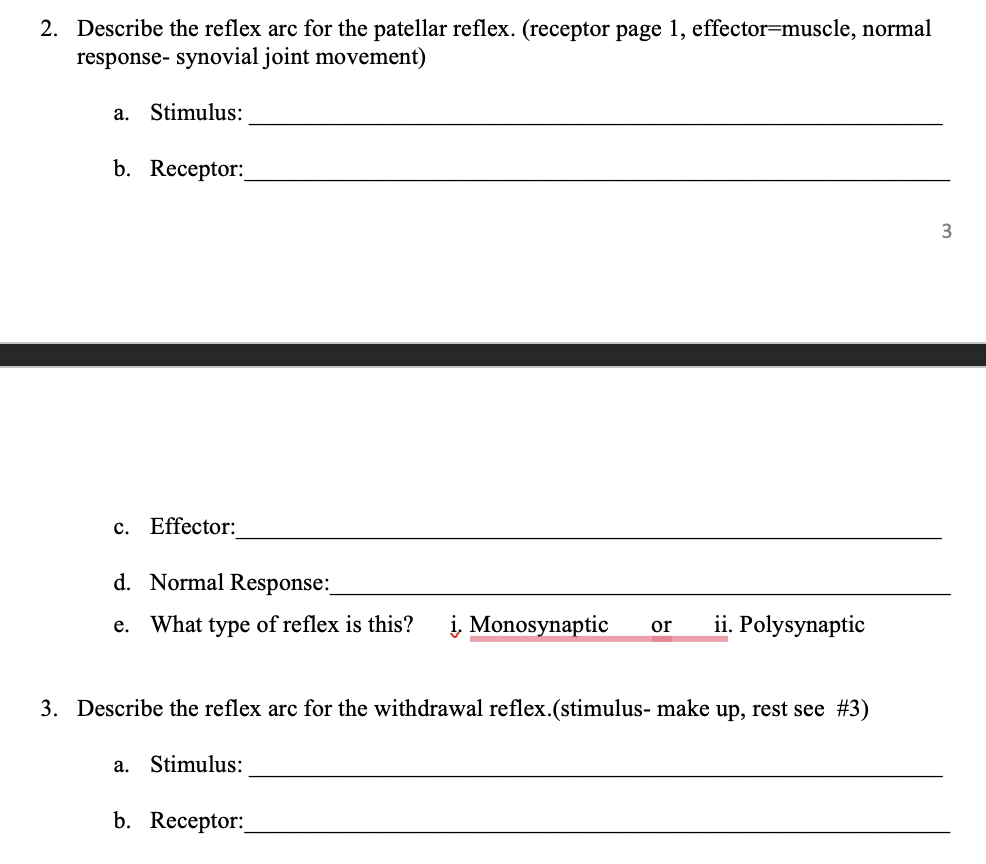 Solved Describe the reflex arc for the patellar reflex. | Chegg.com