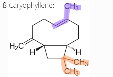 Solved What functional groups are in B-carophyllene? And | Chegg.com