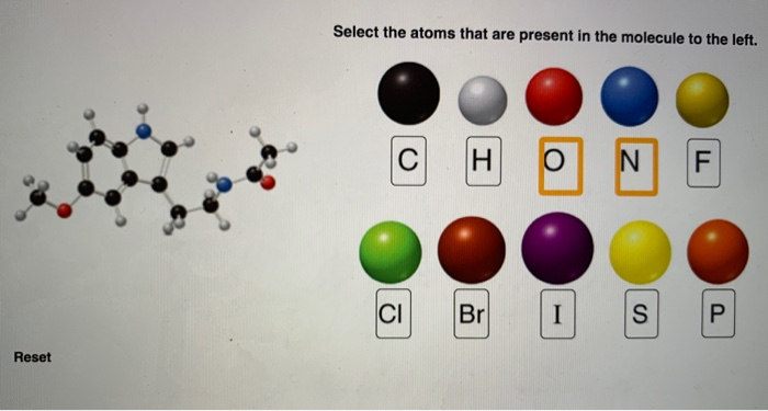 Solved Select the atoms that are present in the molecule to | Chegg.com
