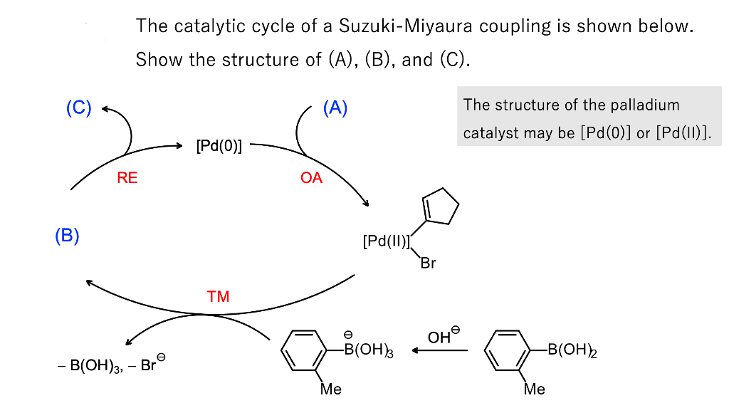 Solved The catalytic cycle of a Suzuki-Miyaura coupling is | Chegg.com