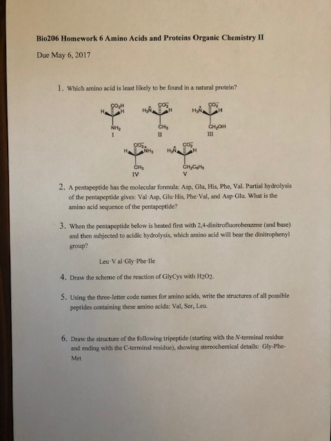 Solved Bio206 Homework 6 Amino Acids and Proteins Organic | Chegg.com