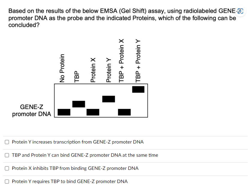 Solved Based on the results of the below EMSA (Gel Shift) | Chegg.com
