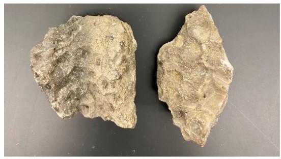 Solved 21 22 23 24 25 216 217 218 219 30 1E 17 4pur| 14 | Chegg.com