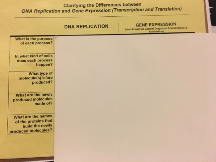 Solved Clarifying the Differences between DNA Replication | Chegg.com