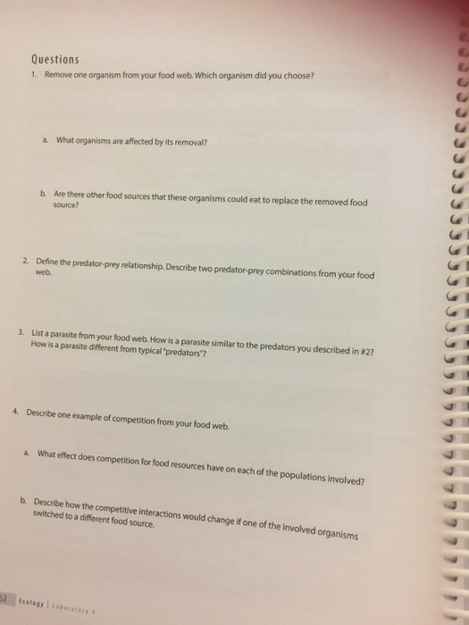 Solved Table formal laboratory reports lab report.) nour | Chegg.com