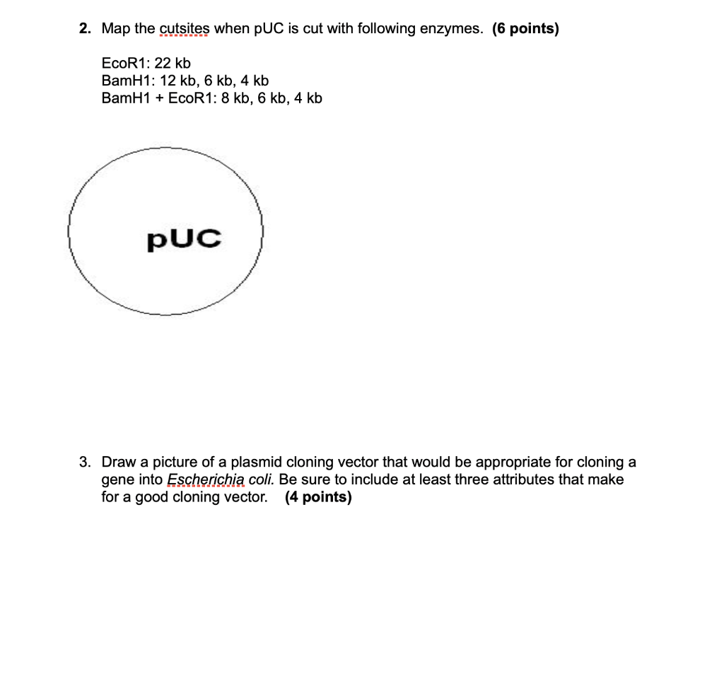 Solved 2. Map the cutsites when pUC is cut with following | Chegg.com