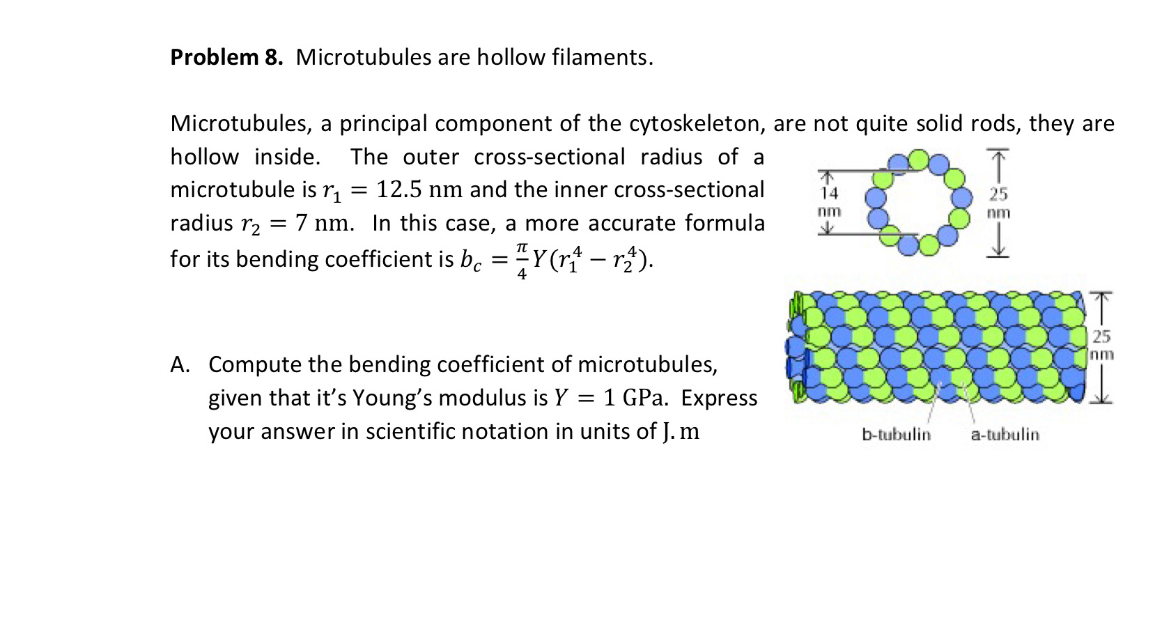 Solved Microtubules, a principal component of the | Chegg.com