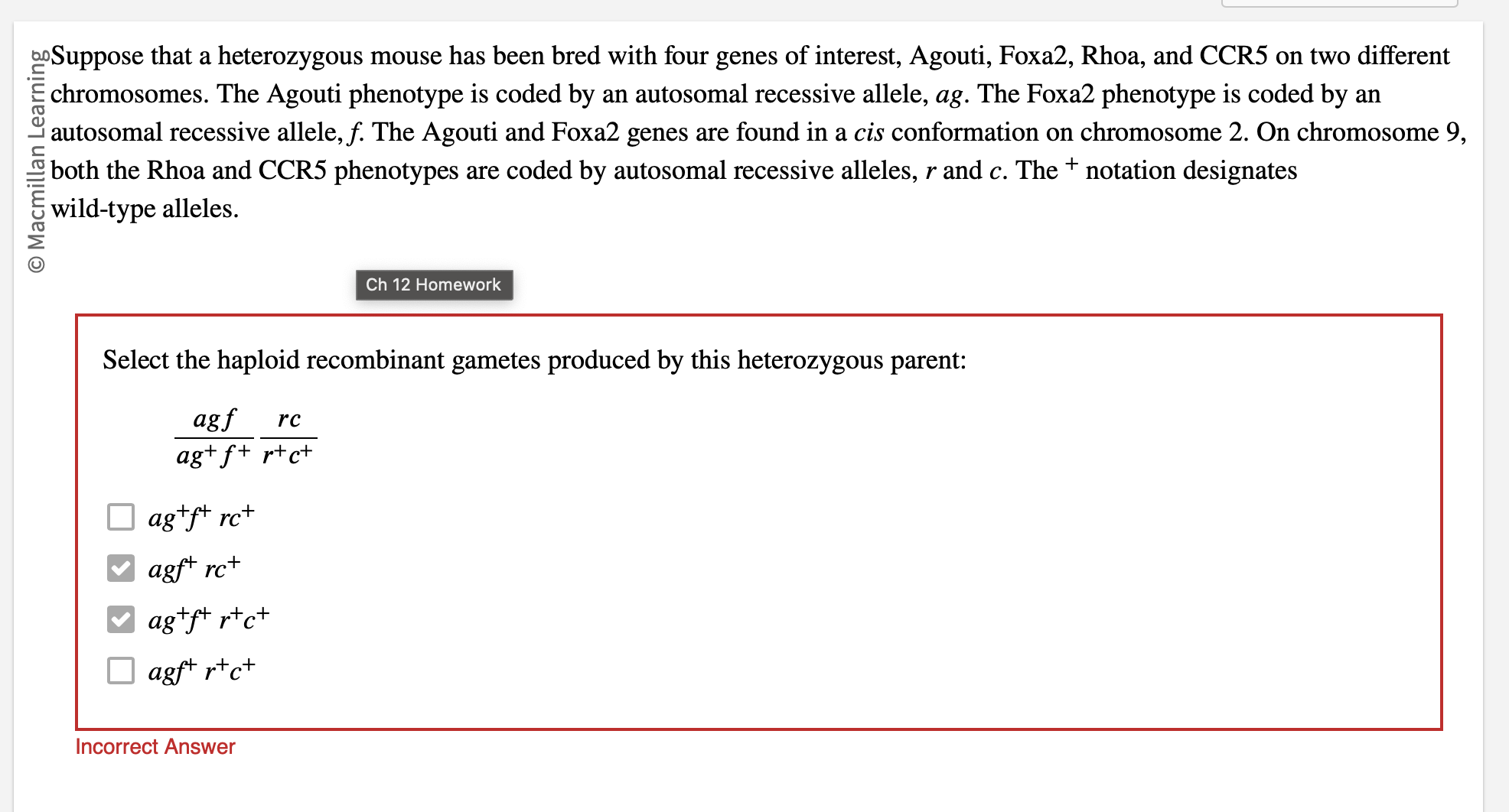 Solved aps Suppose that a heterozygous mouse has been bred | Chegg.com