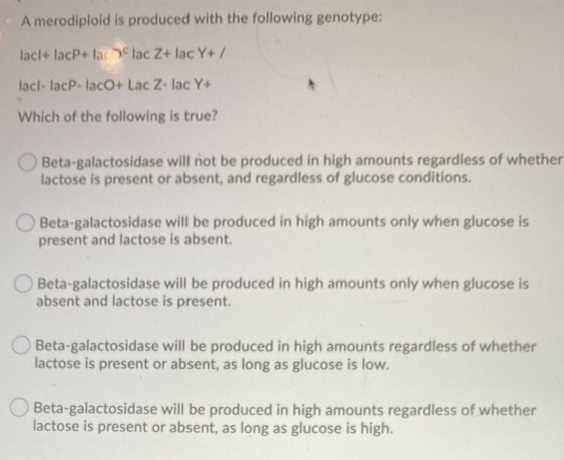 Solved You identify a merodiploid/partial diploid that | Chegg.com