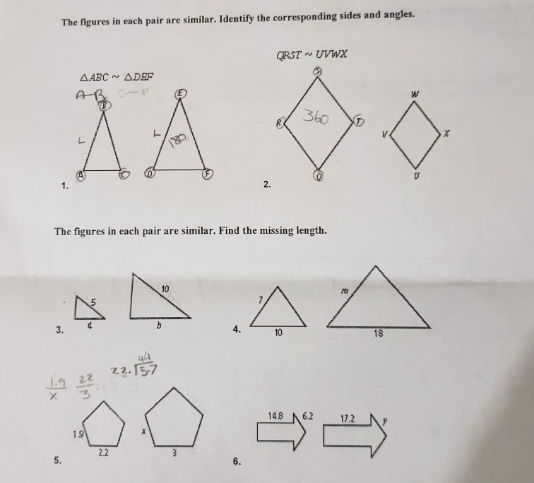 Solved The figures in each pair are similar. Identify the | Chegg.com