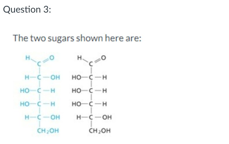 The two sugars shown here are: | Chegg.com