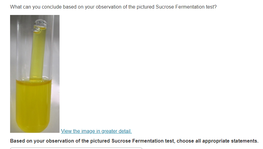 Solved What can you conclude based on your observation of | Chegg.com