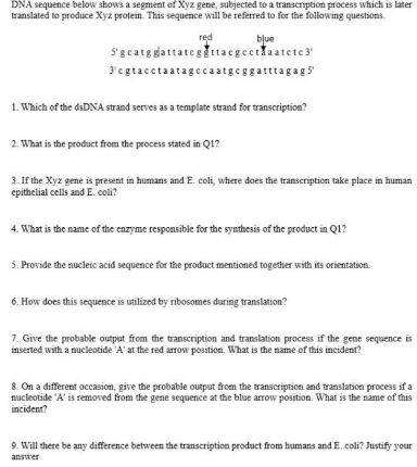 Solved DNA sequence below shows a segment of Xyz gene, | Chegg.com