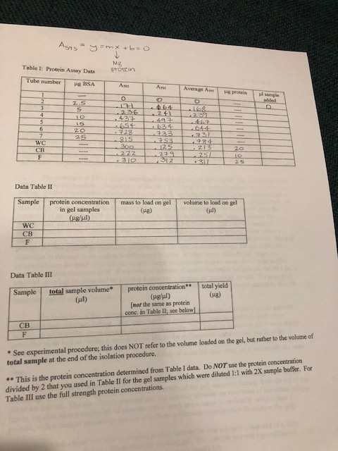 Asas y=mx+b=0 Table 1: Protein Assay Data MO Protein | Chegg.com