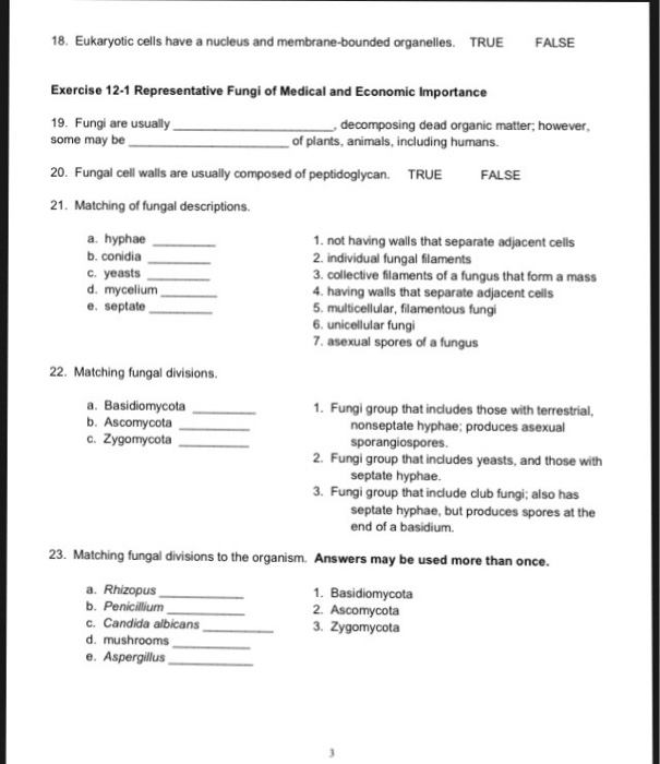 Solved Exercise 3-1 Introduction to the Light Microscope | Chegg.com