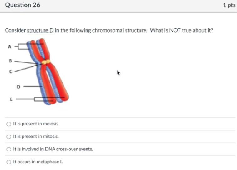Solved Consider structure D in the following chromosomal | Chegg.com Solved Consider structure D in the following chromosomal | Chegg.com