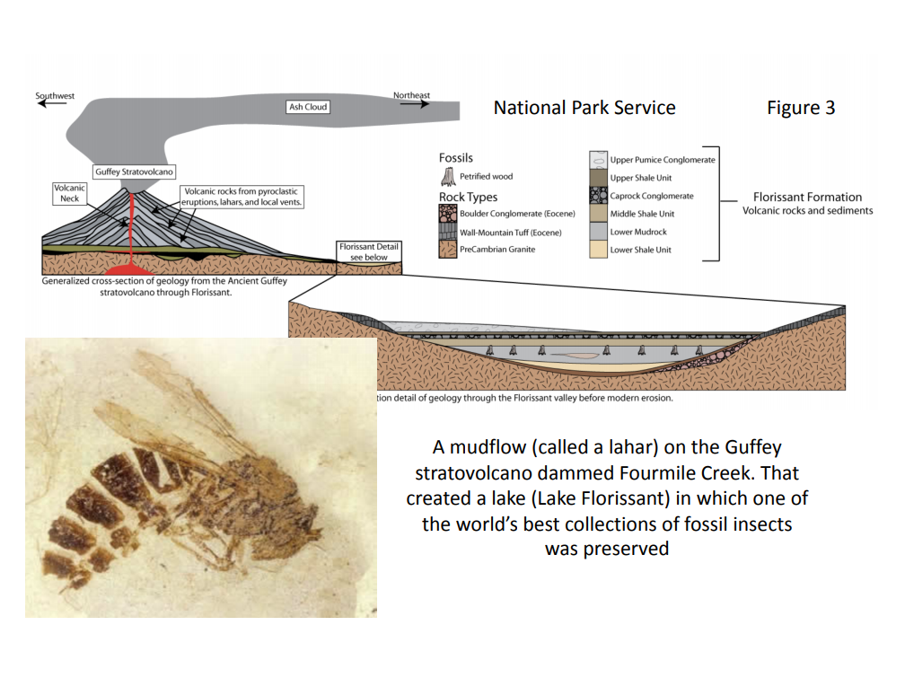 Solved 2. Examine Figure 2, which shows the former location | Chegg.com
