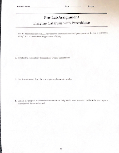 Solved Printed Name Date Section Pre-Lab Assignment Enzyme | Chegg.com