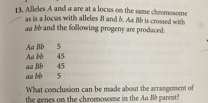 Solved 13. Alleles A and a are at a locus on the same | Chegg.com