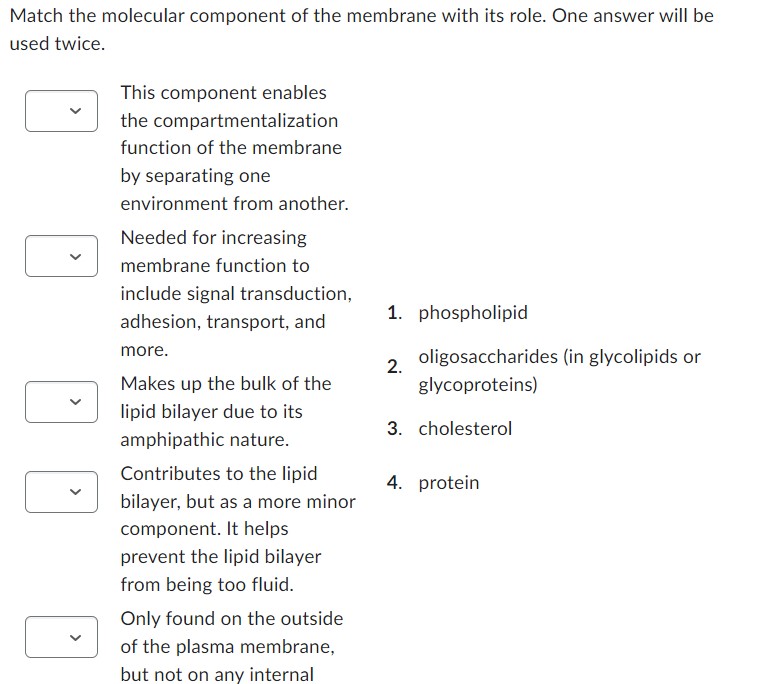 Solved Match the molecular component of the membrane with | Chegg.com