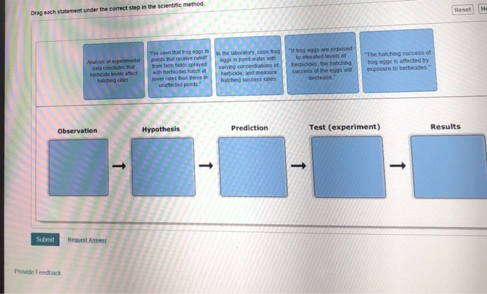 Solved Drag each statement under the correct step in the | Chegg.com