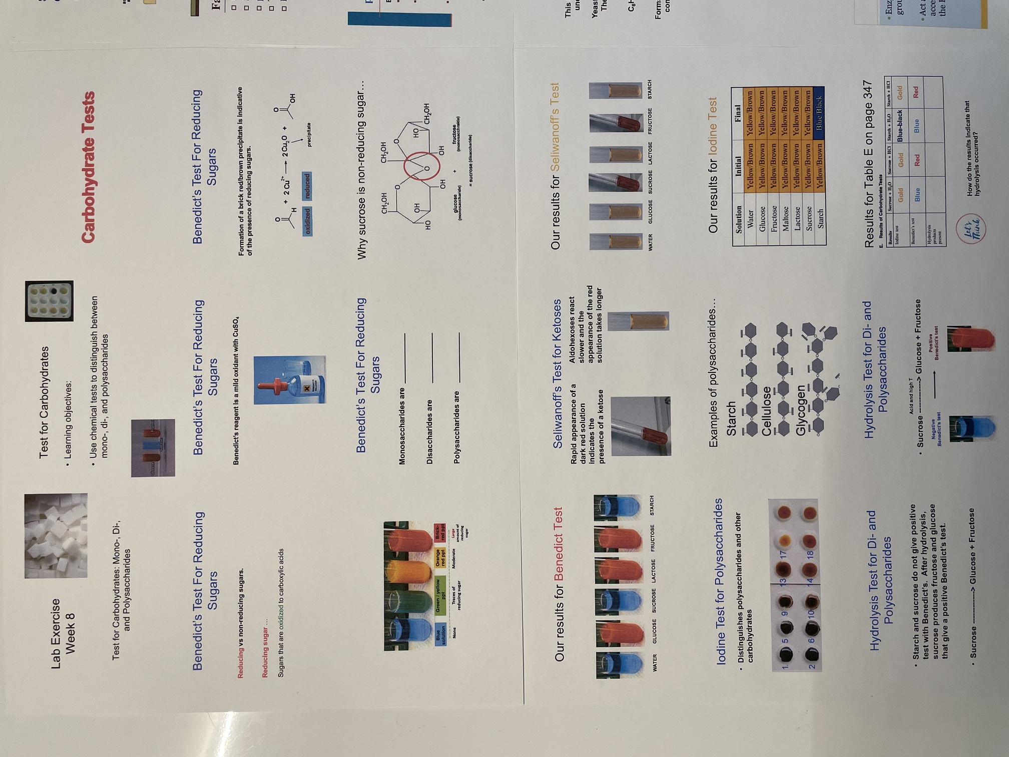 Solved Test for Carbohydrates Lab Exercise Week 8 • Learning | Chegg.com