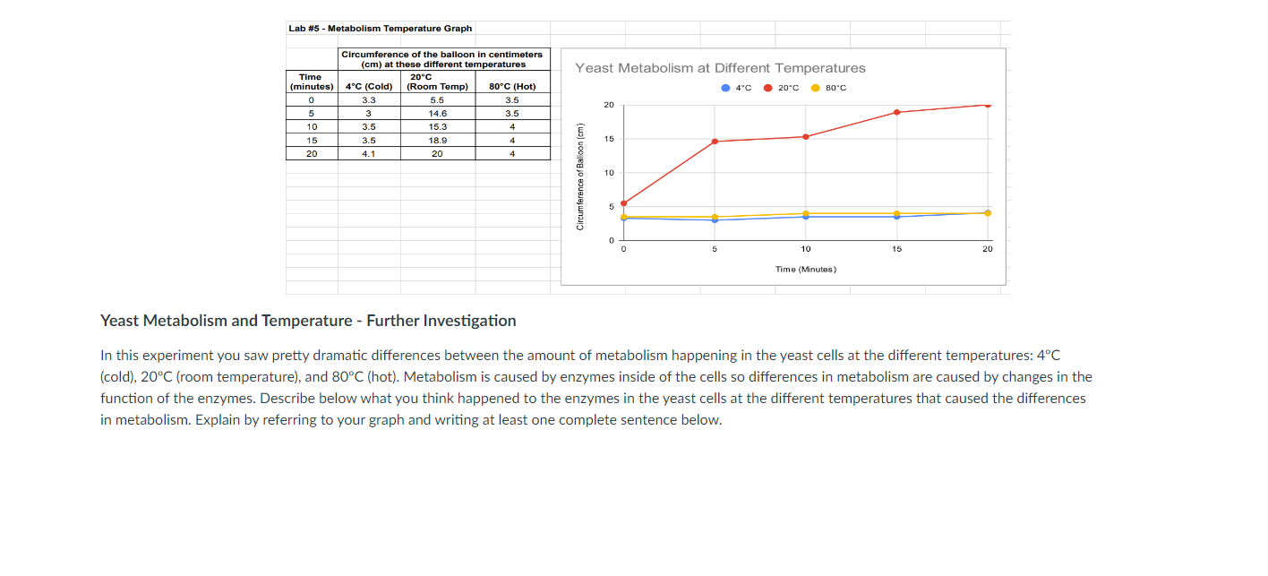 Solved Yeast Metabolism and Temperature - ﻿Further | Chegg.com