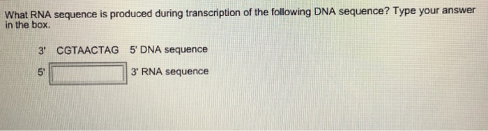 Solved The codon table identifies the amino acid sequence | Chegg.com