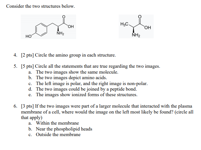 Solved Consider the two structures below. H3C . OH ОН NH2 НО | Chegg.com