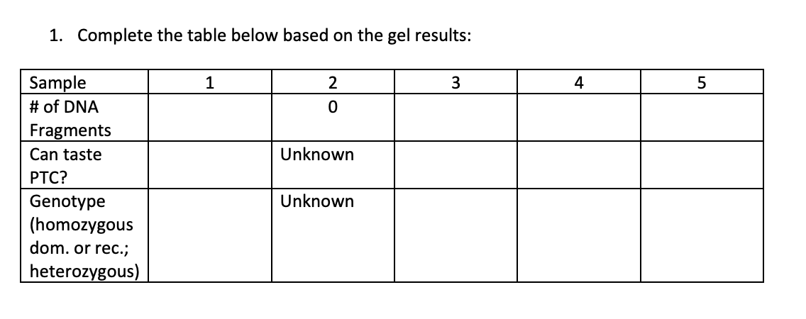 Solved DNA ladder Sample 1 Sample 2 Sample 3 Sample 4 - | Chegg.com