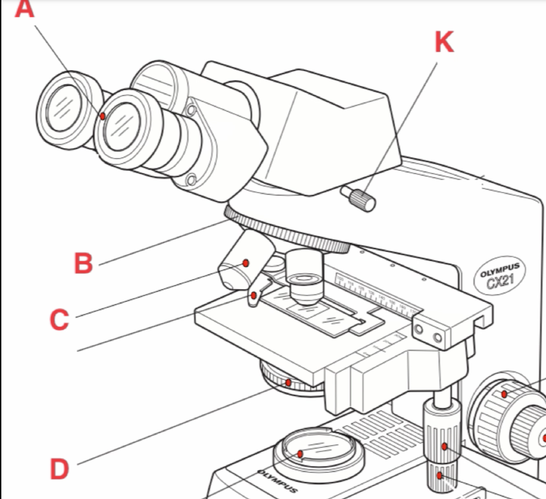 Solved Question 1.1 Homework • Unanswered ∙ Due Jan 19th, | Chegg.com