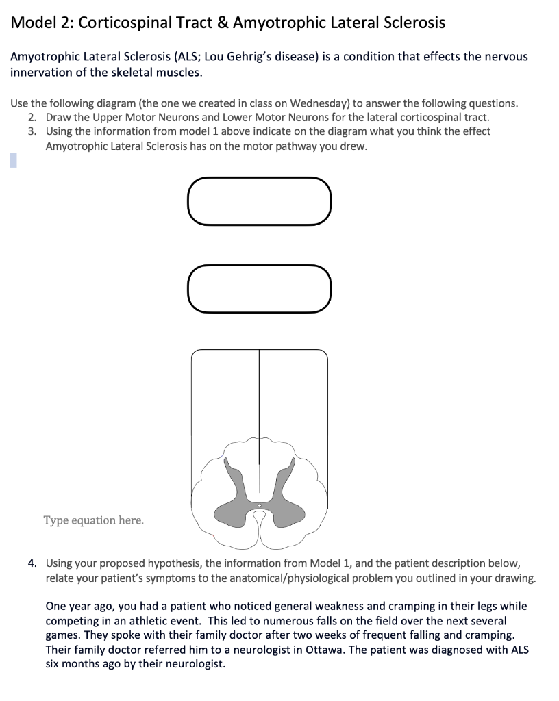 Model 2: Corticospinal Tract \& Amyotrophic Lateral | Chegg.com