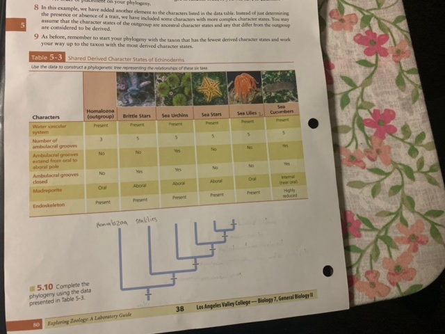 U your phylogy 8 In this example, we have added | Chegg.com