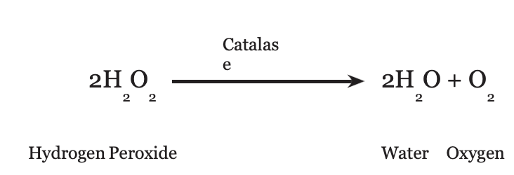 Solved PRE-LAB QUESTIONS Hydrogen peroxide is a harmful | Chegg.com
