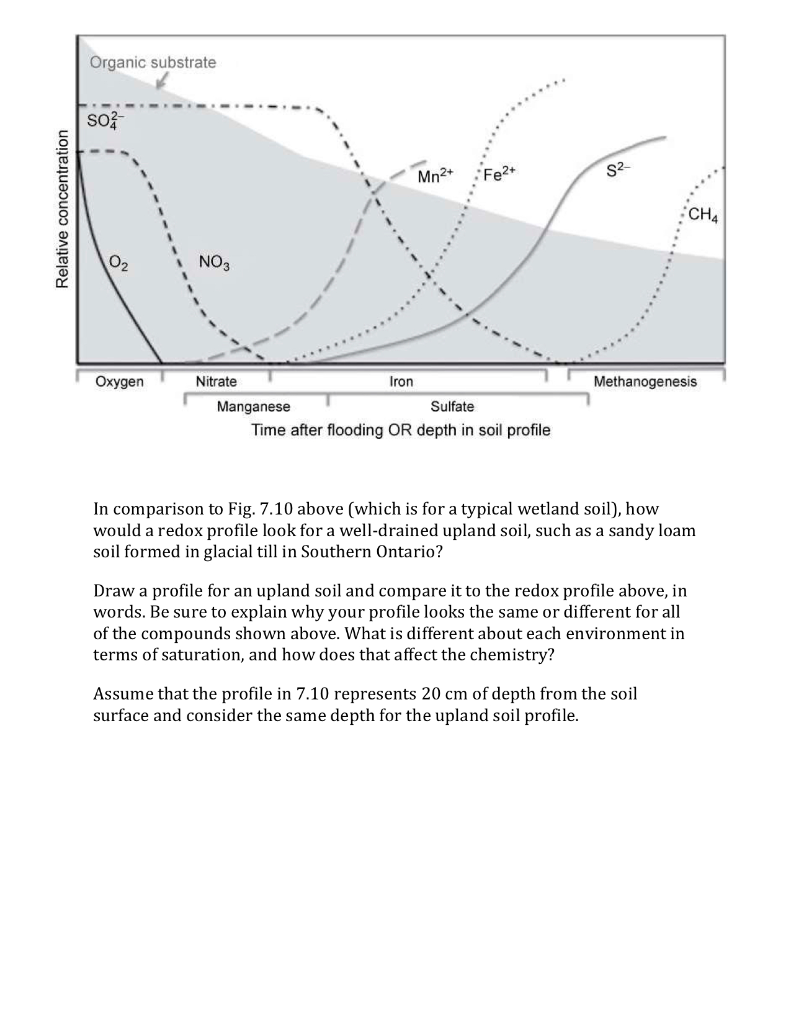 Organic substrate SO2 Mn2+ Fe2+ S2 S2 Relative | Chegg.com