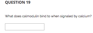 Solved QUESTION 19 What does calmodulin bind to when | Chegg.com