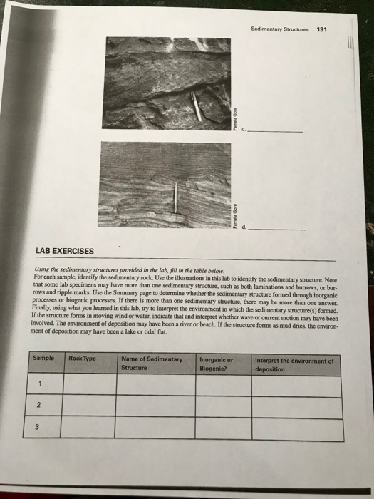 Solved EXERCISES Sedimentary Structures Exercises PRE-LAB | Chegg.com