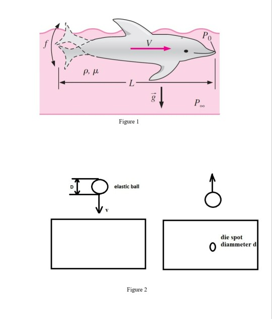 (vii) The Dolphin shown in Figure 1 below is | Chegg.com