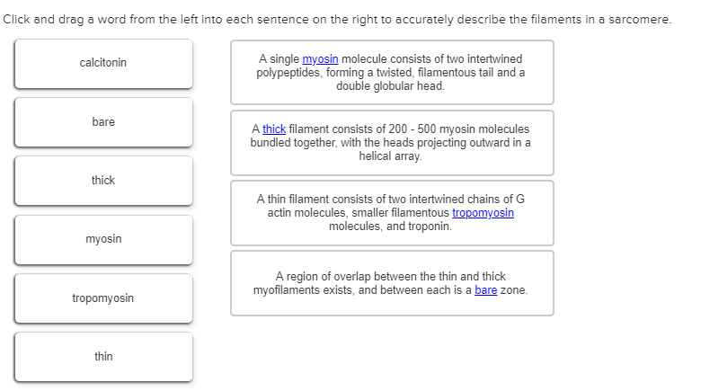 Solved Click and drag a word from the left into each | Chegg.com