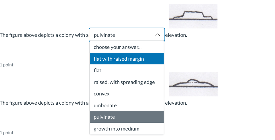 Solved The figure above depicts a colony with a elevation. | Chegg.com
