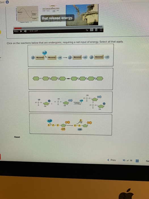 Solved Click on the reaction below that are endergonic, | Chegg.com