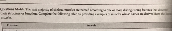 Solved Questions 61-64: The vast majority of skeletal | Chegg.com Solved Questions 61-64: The vast majority of skeletal | Chegg.com
