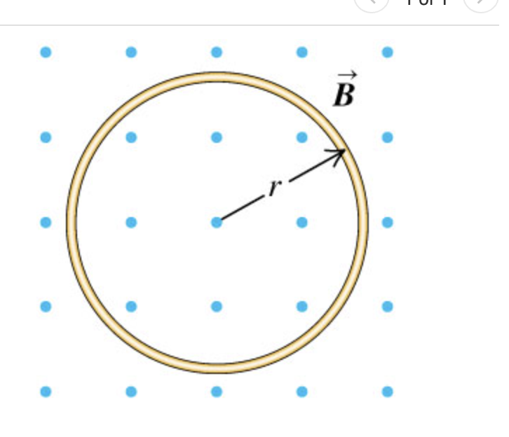 Solved A circular loop of wire with radius 0.0380 ﻿mm and | Chegg.com