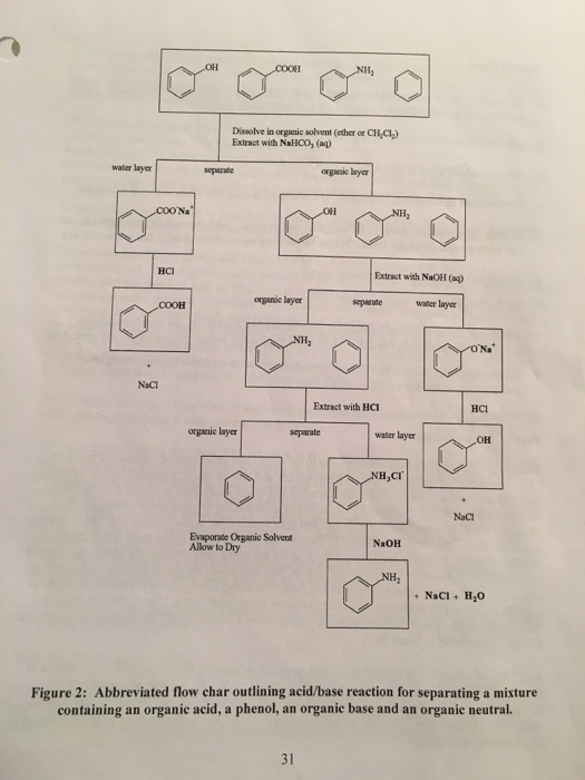 Experiment 5: Liquid-Liquid Extraction: Separation of | Chegg.com